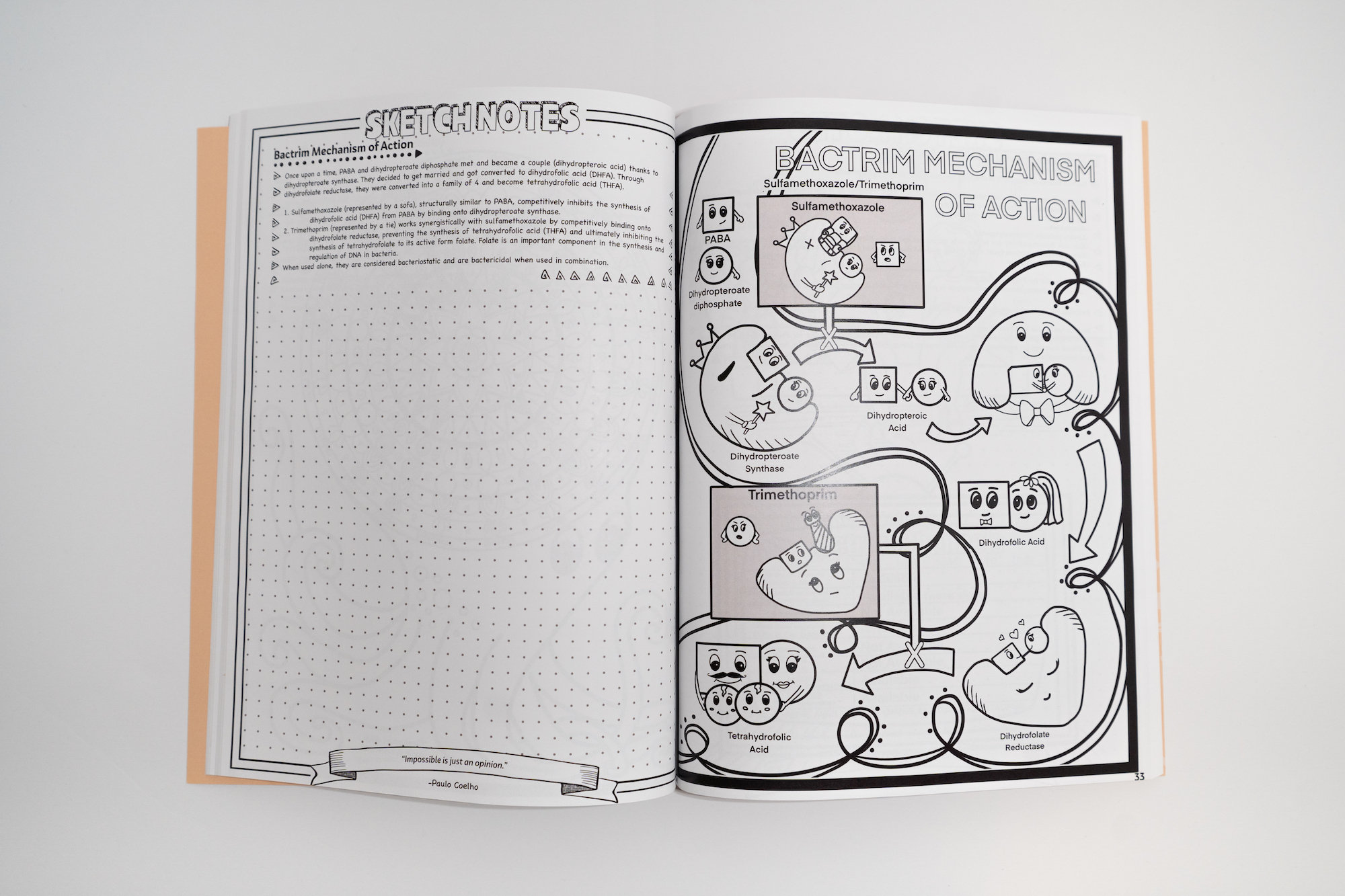 Antibiotics Pharmacology Coloring Book - Etsy