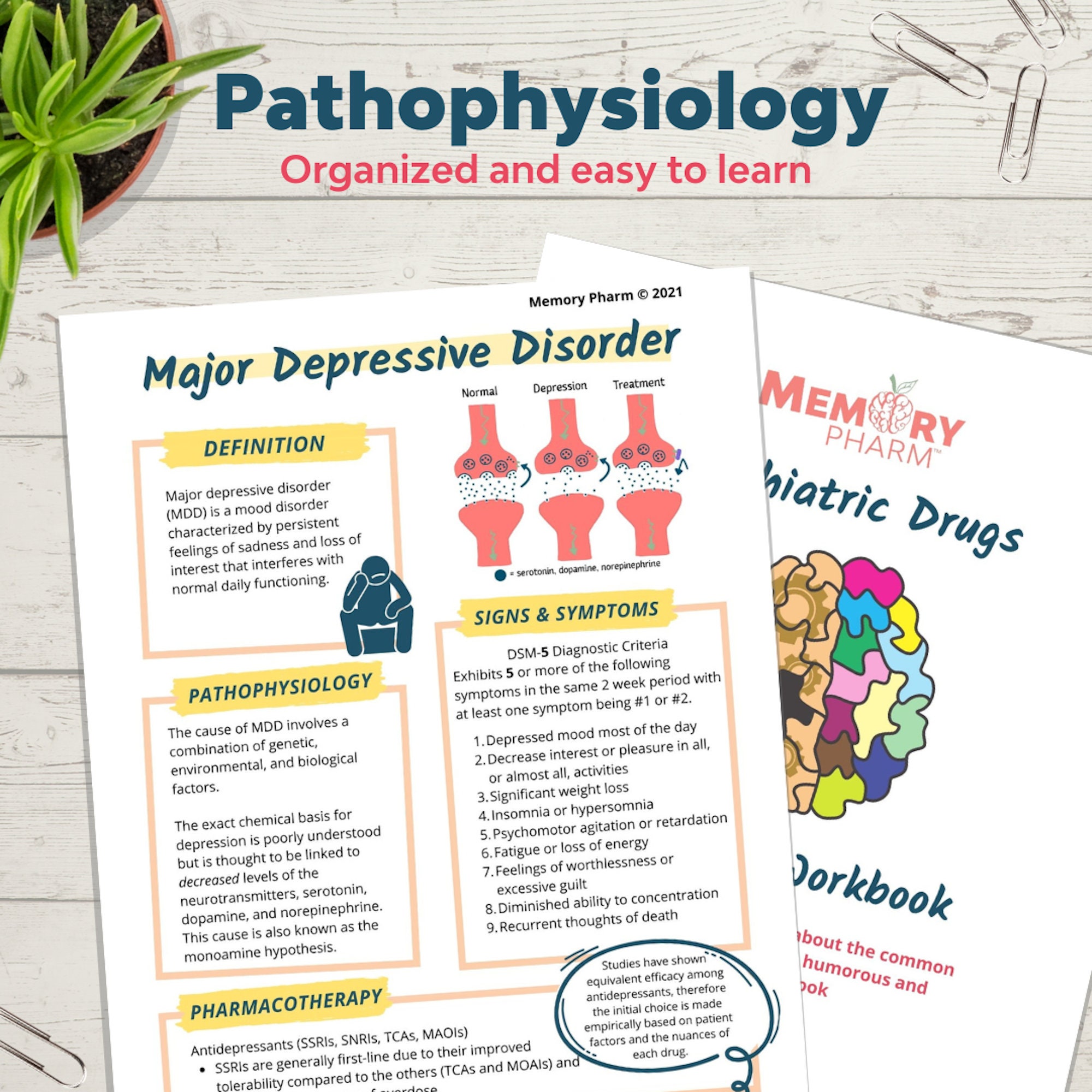 Psychiatry Drugs Mnemonic Workbook (PDF) - Etsy