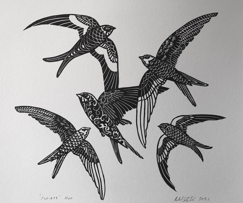 Swifts - Bird Art, Richard Studer, Wall Art, Limited Edition, - Etsy UK