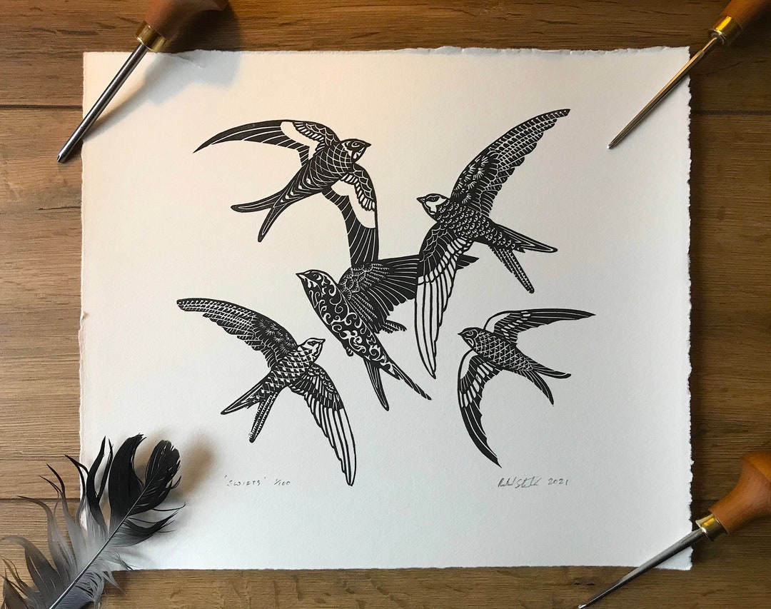 Swifts - Bird Art, Richard Studer, Wall Art, Limited Edition, - Etsy