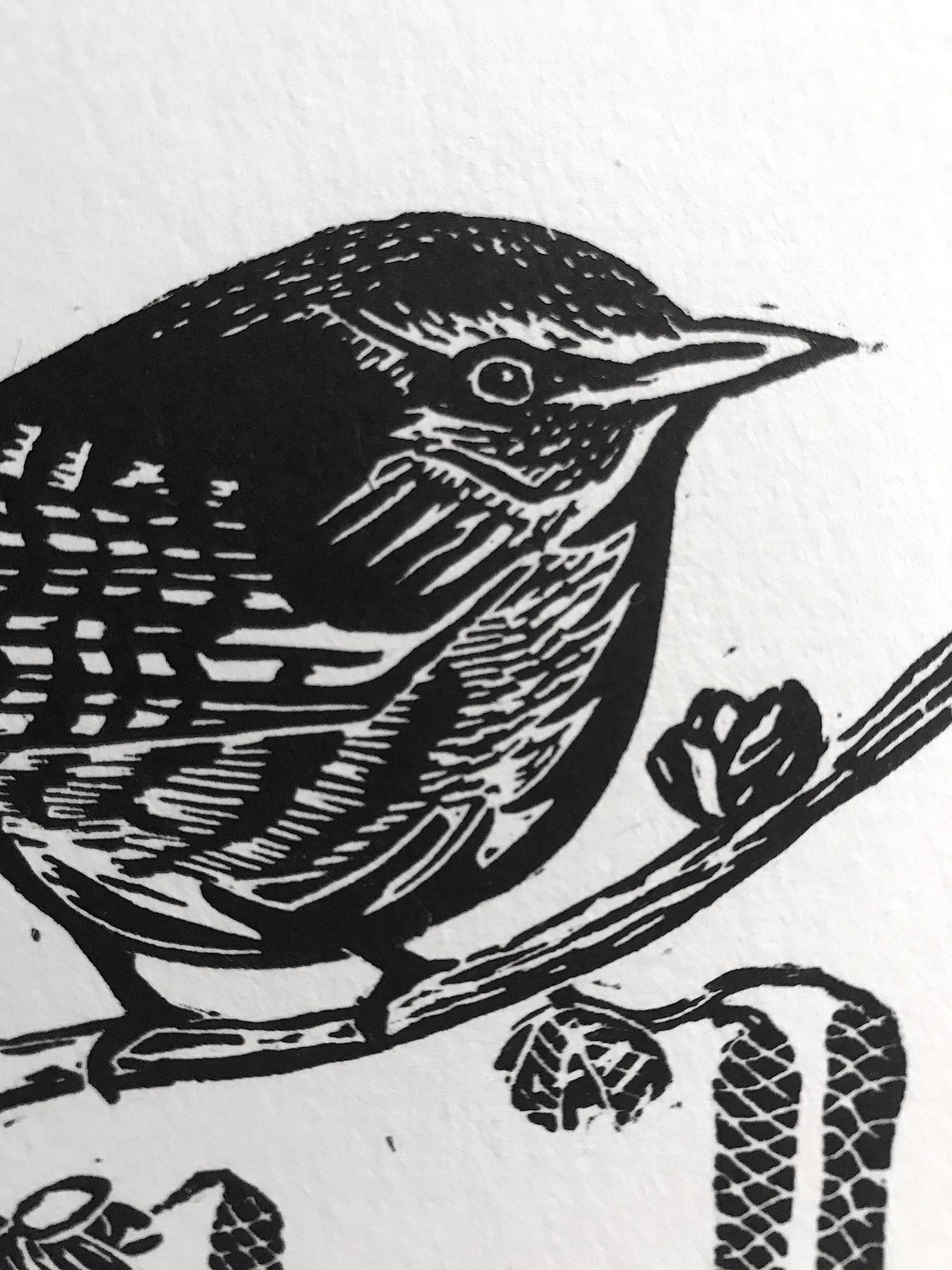 The Wren, Original Linocut Wren With Catkins and Hazel Detail, Bird Art ...