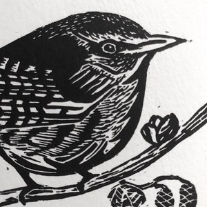 The Wren, Original Linocut Wren With Catkins and Hazel Detail, Bird Art ...