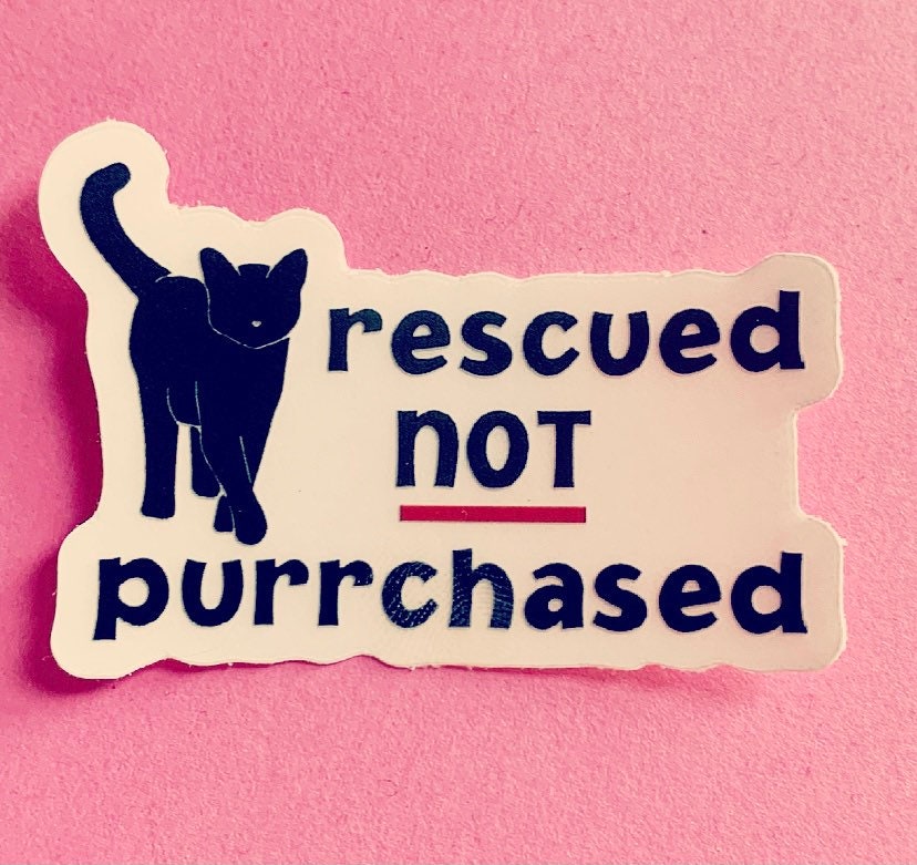 Purrfect Cat Sticker Clear Sticker Cat Decal Rescue Rescue - Etsy.de