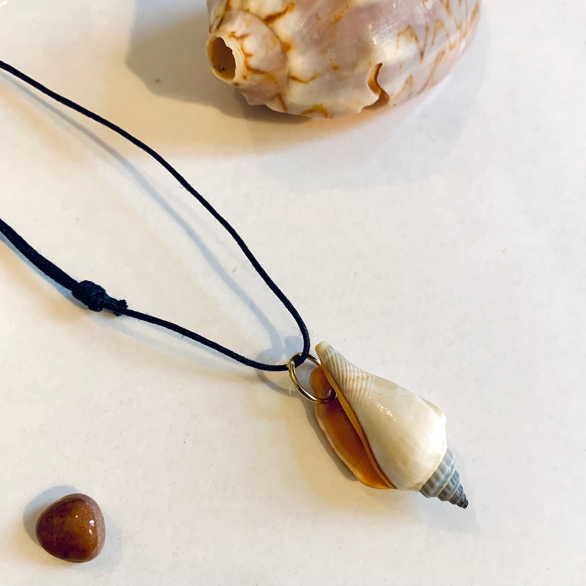 Collares de conchas marinas / Joyas naturales / Seashell | Etsy