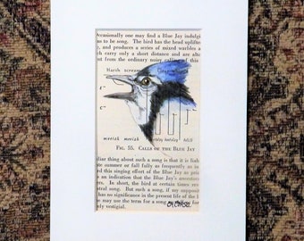 Blue Jay Book - Etsy