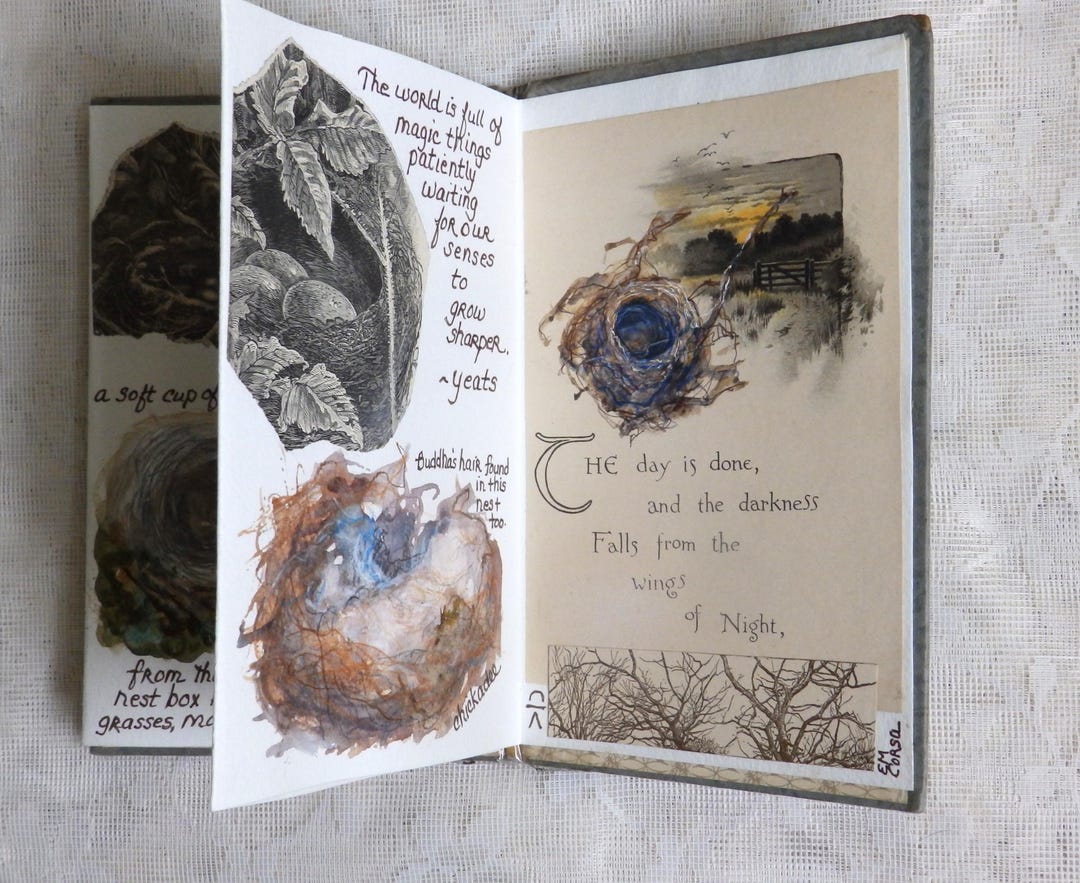 Birds Nest Book Art, Altered Book Covers Featuring Original Paintings ...