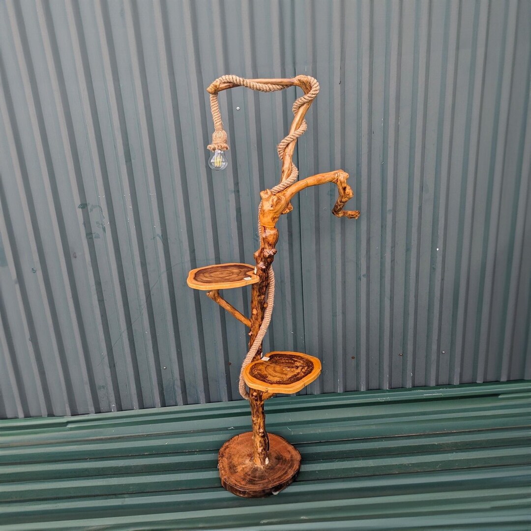 Tree Branch Floor Lamp Solid Wood Shelves Natural Driftwood Free ...
