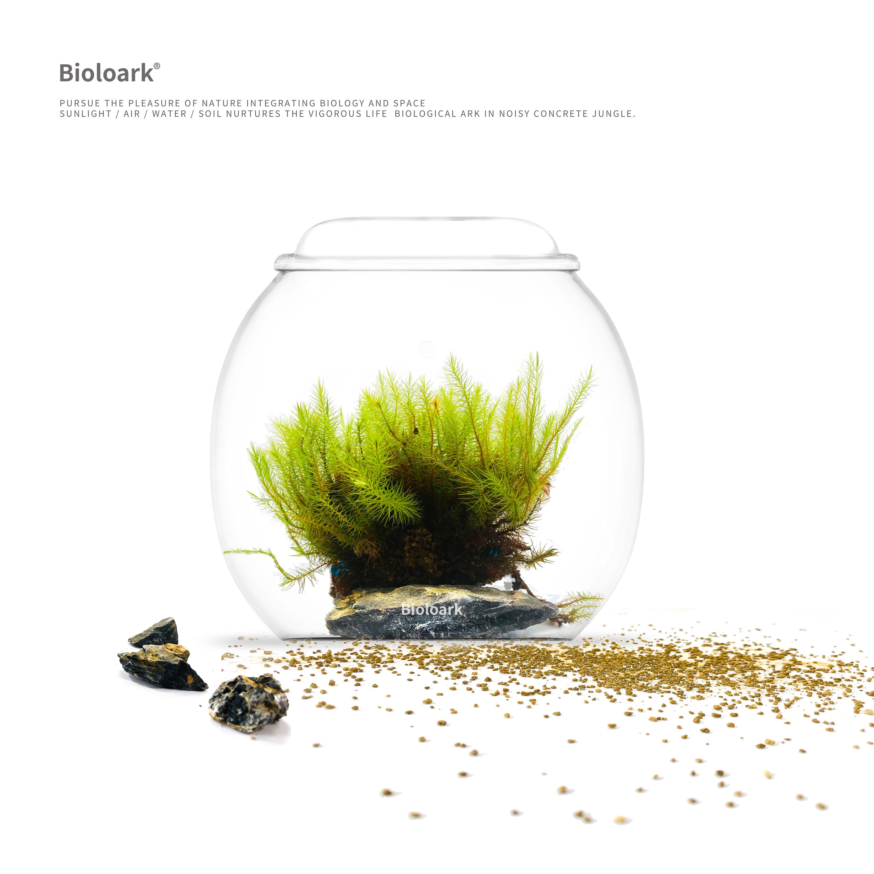 Bio Bottles Emerald Garden Mini Desktop Terrarium (bubble Cup Set ...