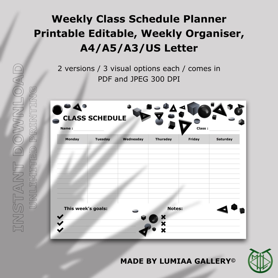 Weekly Class Schedule Planner Printable Editable, Weekly Organiser, A4 ...