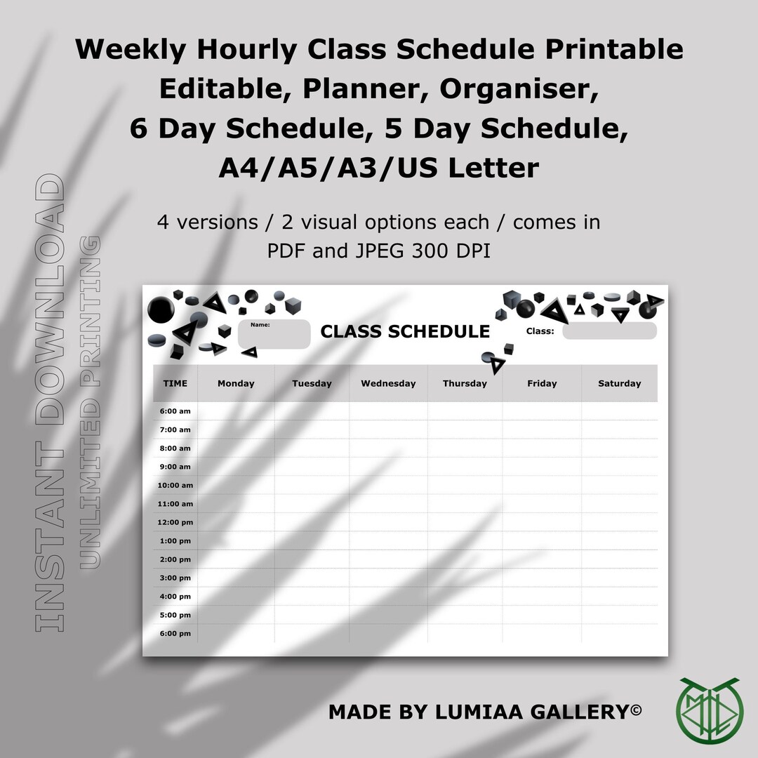 Weekly Class Schedule Printable: Hourly Planner (digital Download) - Etsy