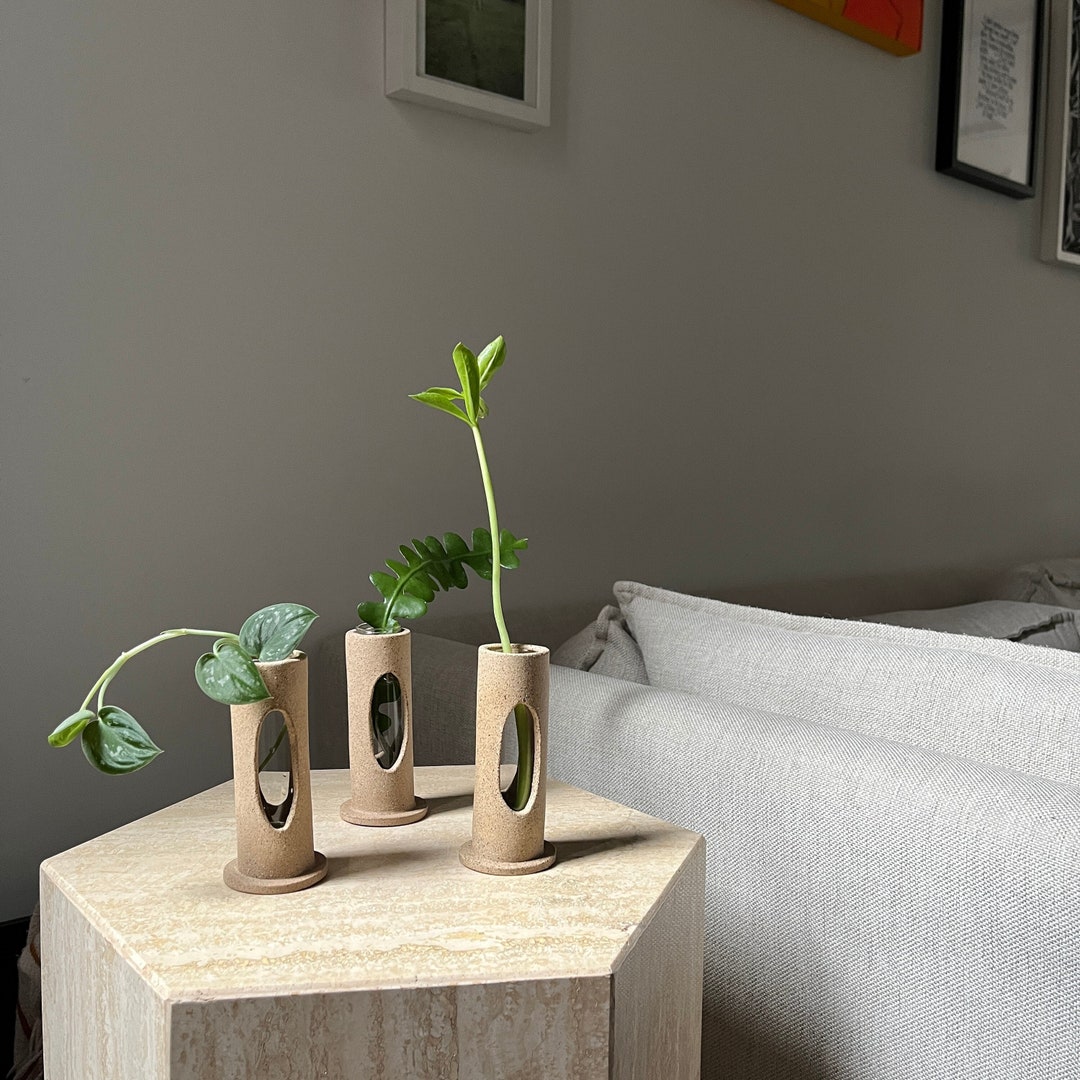 Speckled Propagation Vase With Glass Tube | Plant Cutting Vase ...