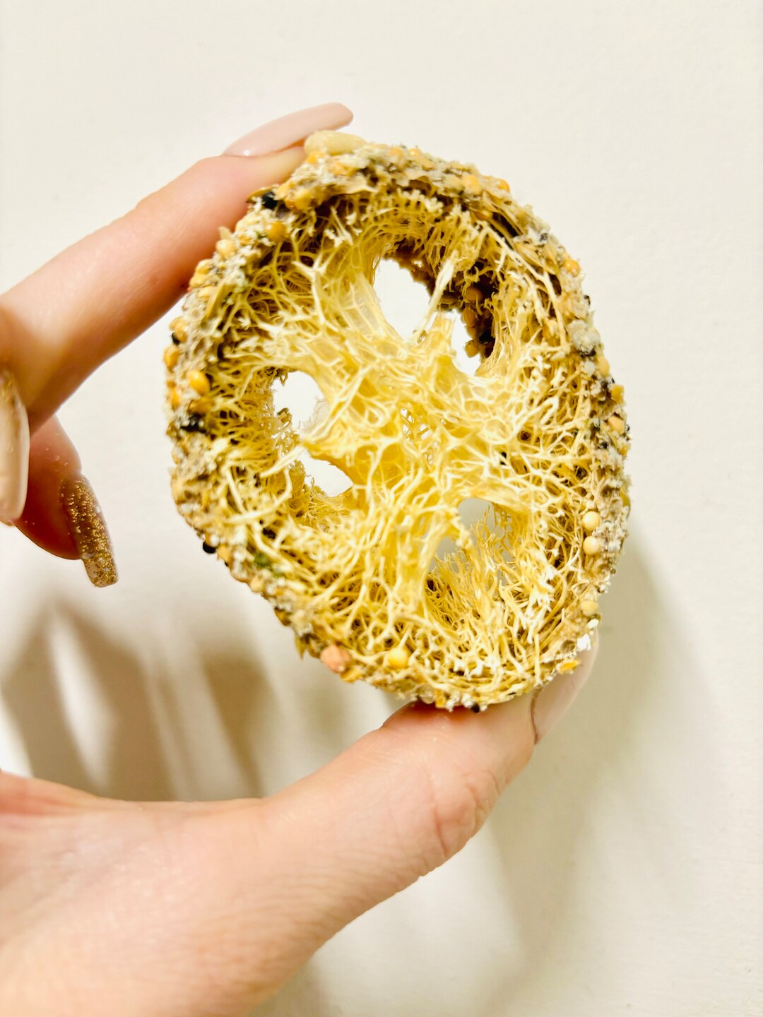 Seed & Nut Loofah Treat Chews Throw Toys 3 Pack Bird Parrot Hamster ...