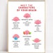 Brain Characters Poster,brain Anatomy Print,psychology Poster Art ...