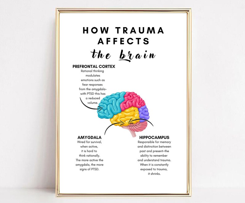 How Trauma Affects the Brain Poster Therapy Office Decordbt - Etsy