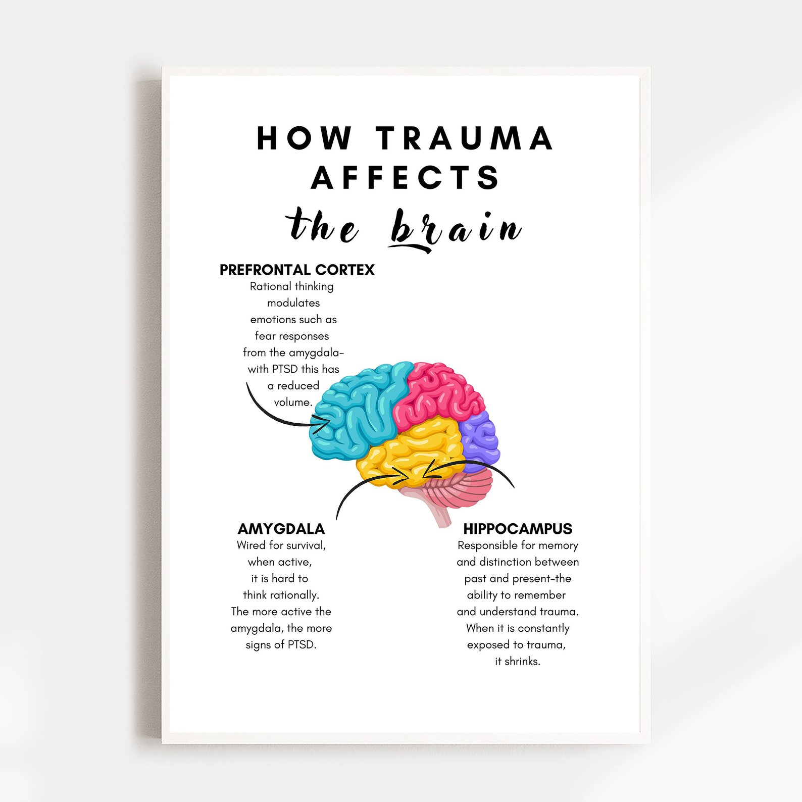 How Trauma Affects the Brain Poster Therapy Office Decordbt - Etsy