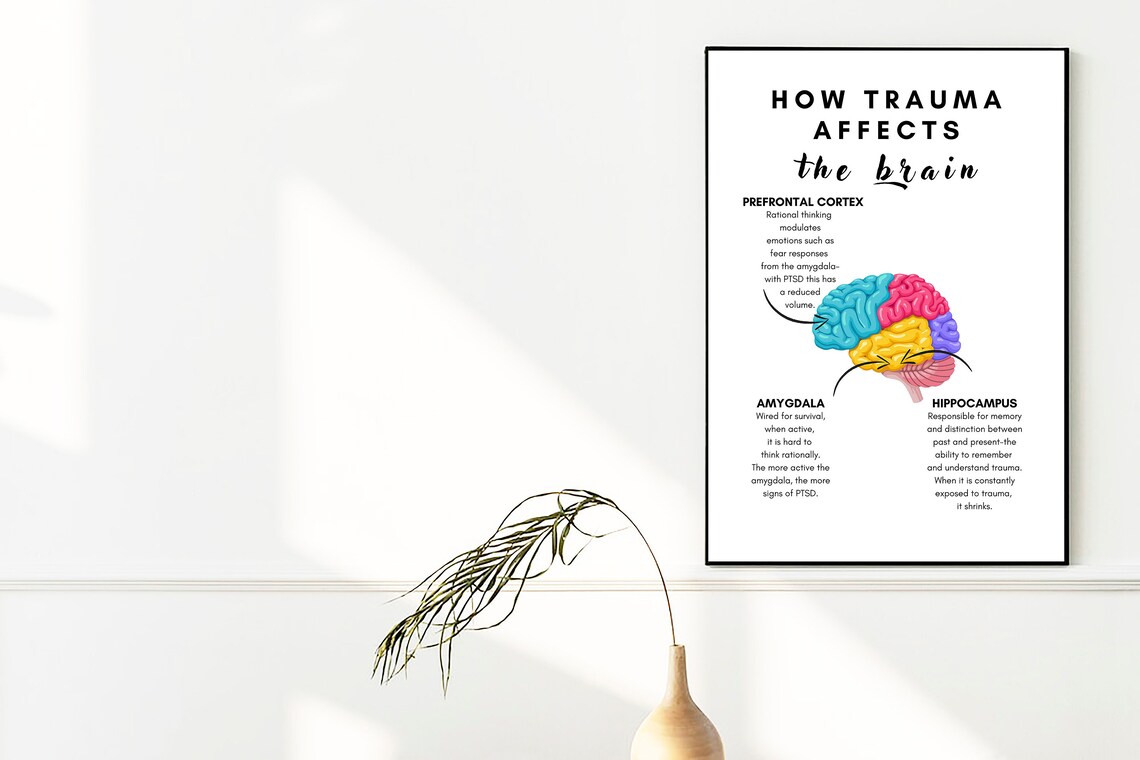 How Trauma Affects the Brain Poster Therapy Office Decordbt - Etsy