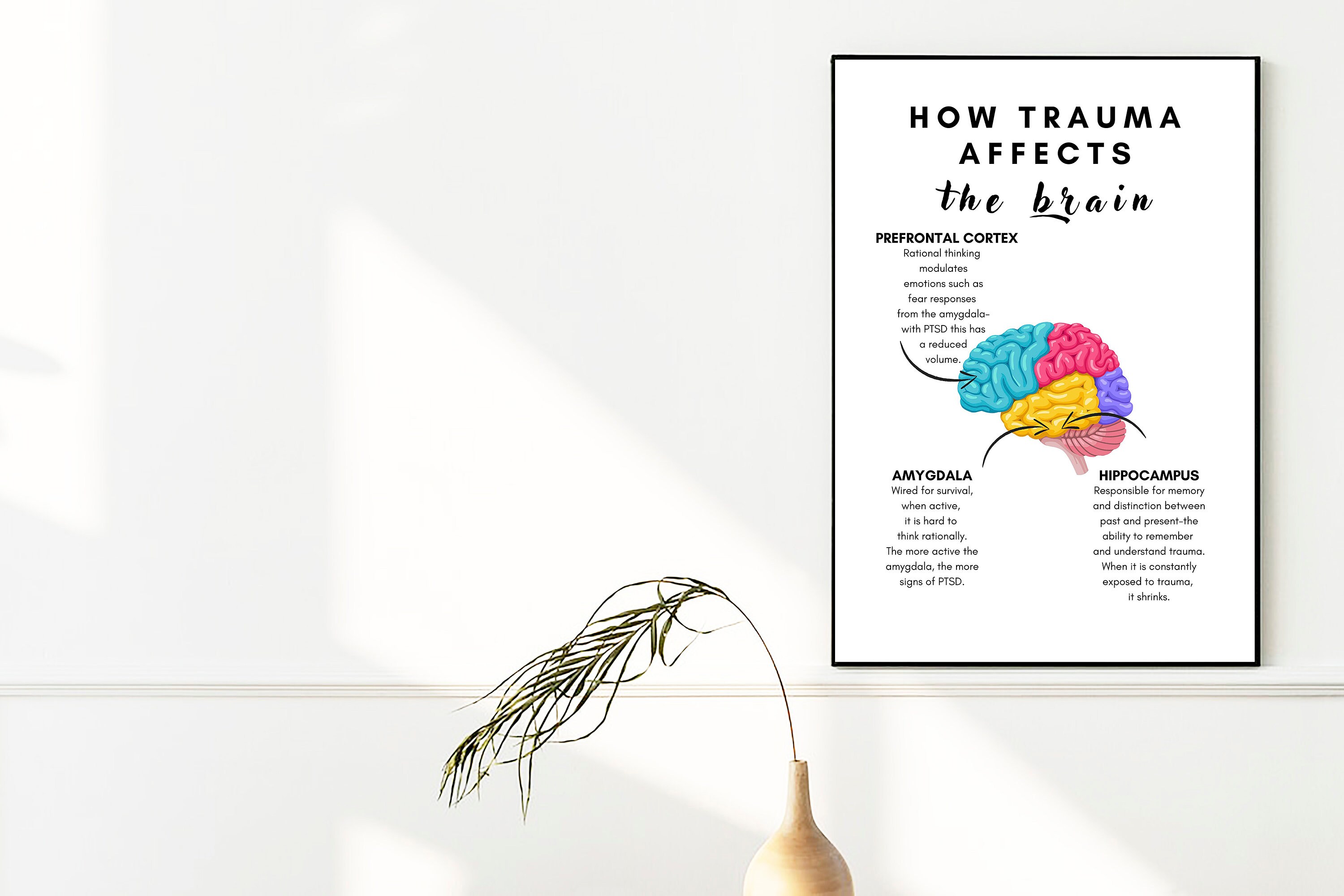 How Trauma Affects the Brain Poster Therapy Office Decordbt - Etsy