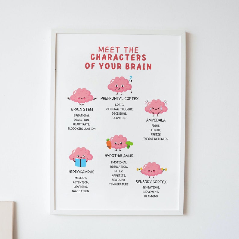 Brain Characters Posterbrain Anatomy Printpsychology Poster - Etsy