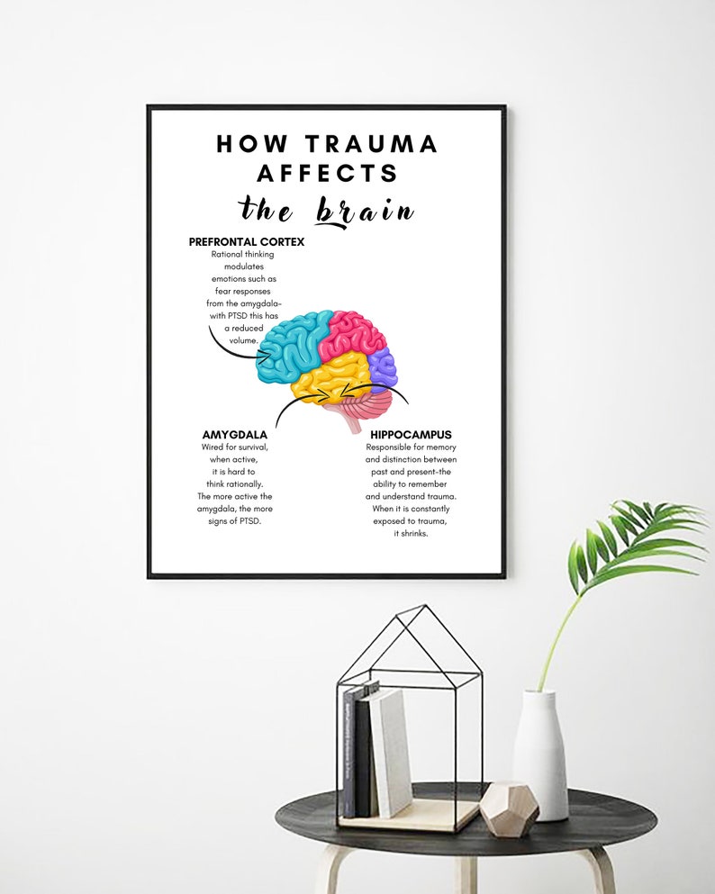 How Trauma Affects the Brain Poster Therapy Office Decordbt - Etsy