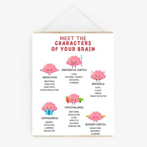 Brain Characters Poster,brain Anatomy Print,psychology Poster Art ...