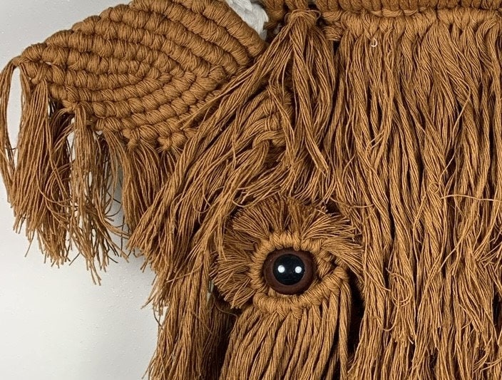 Macrame Highland Cow DIY Kit: Beginner-friendly Craft Project - Etsy