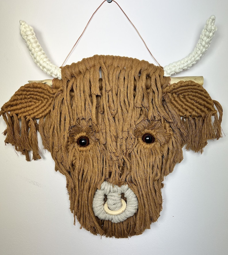 Macrame PDF Pattern Tutorial Beginner Douglas the Highland Cow - Etsy