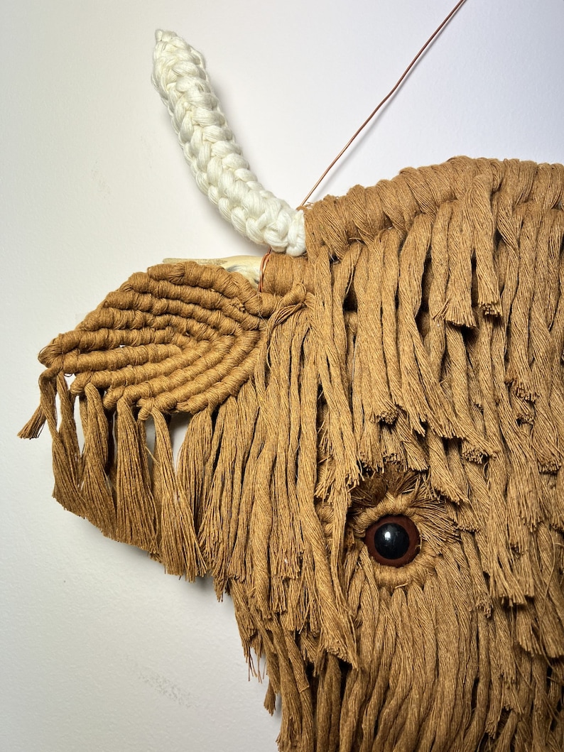 Macrame PDF Pattern Tutorial Beginner Douglas the Highland Cow - Etsy