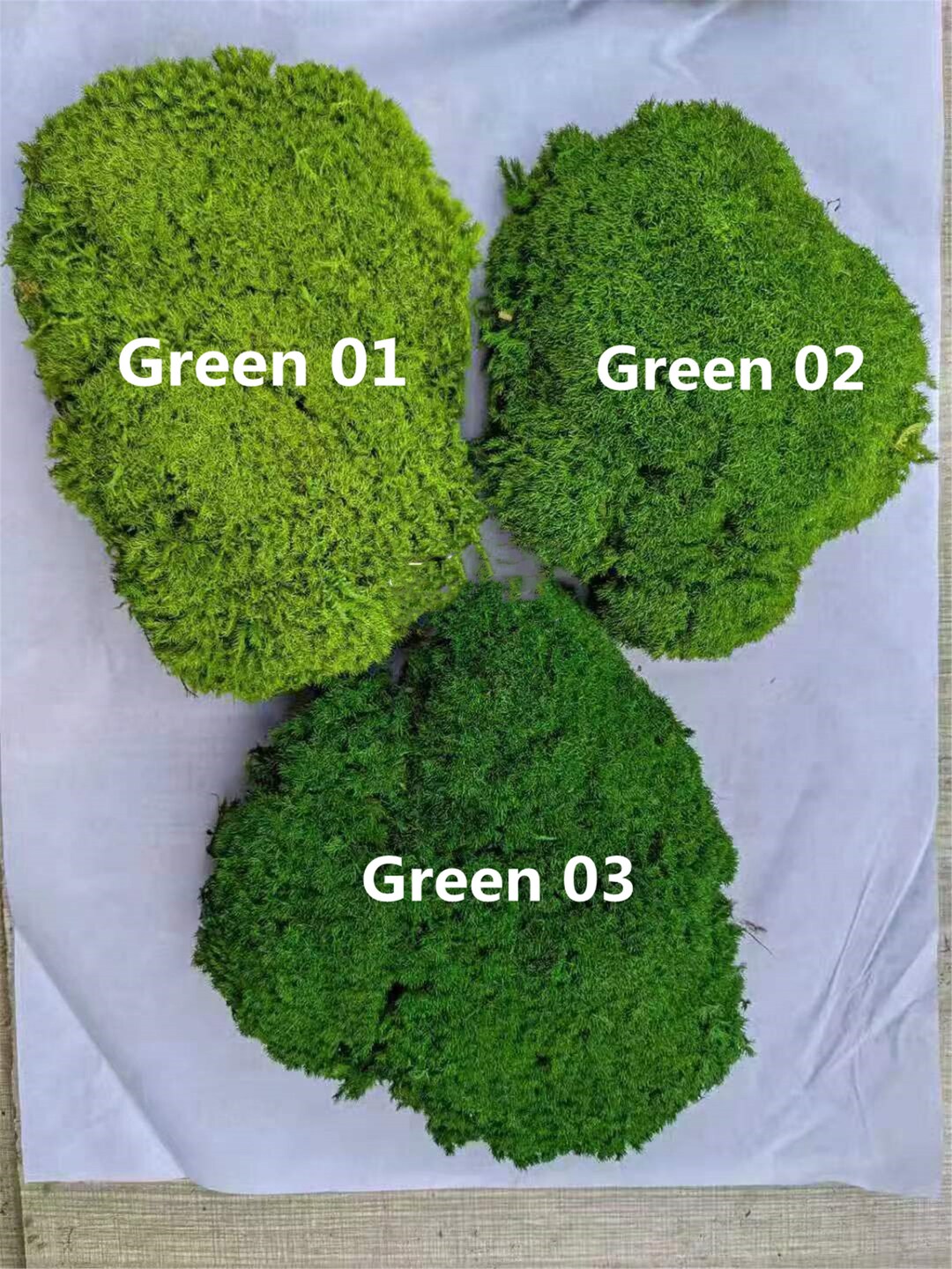 Wall Decor Moss, Bulk Moss Pillow, Wholesale Preserved Moss, Natural ...