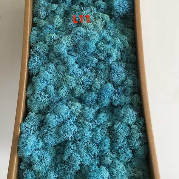 Moss Arrangement - Etsy