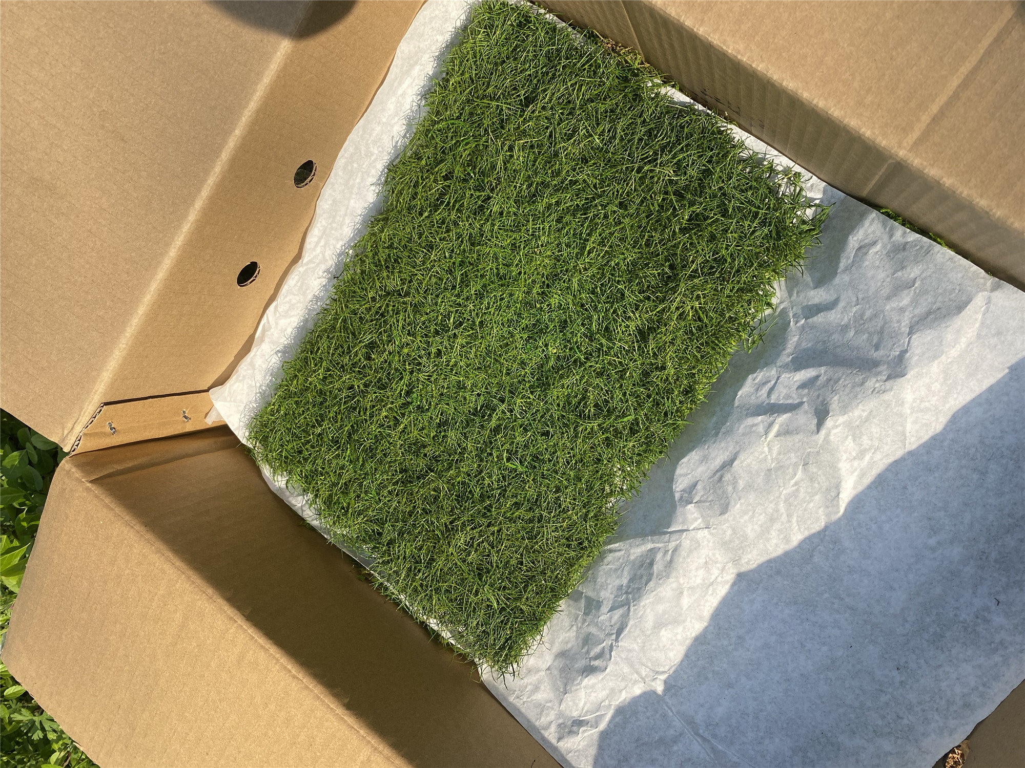 Bulk Wholesale Preserved Stabilized Sheet Moss Sheet Moss Bun - Etsy