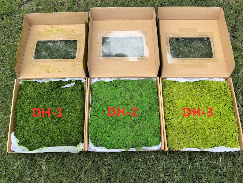 Preserved Sheet Moss: Green Bulk Moss for Fairy Gardens - Etsy