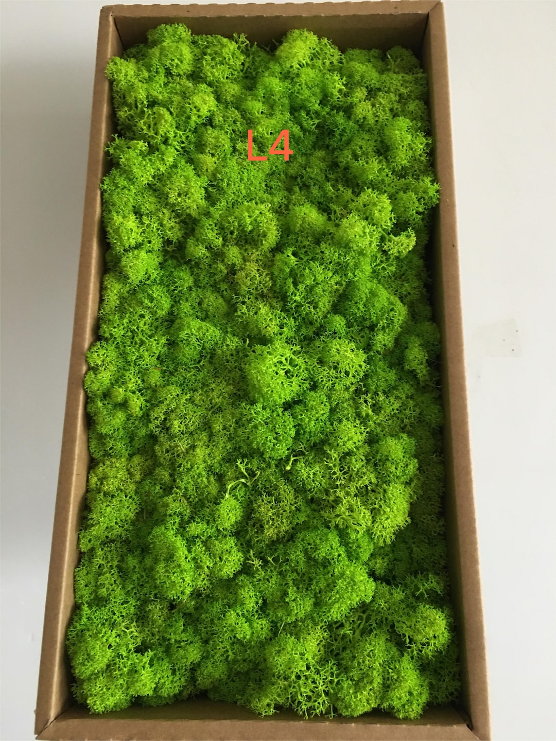 15oz Preserve Reindeer Moss- Natural Decorative Moss- Moss Used to ...