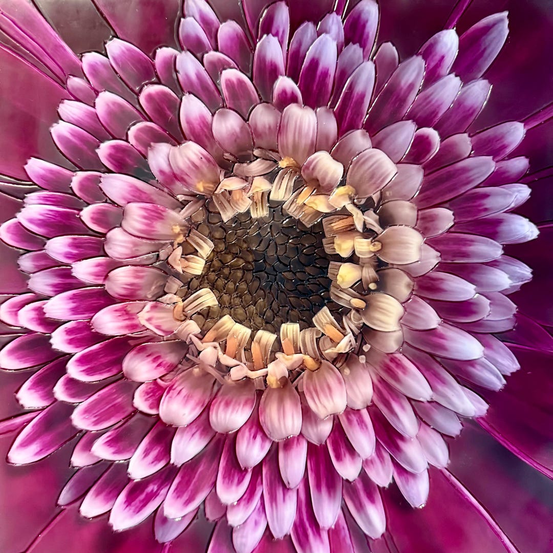 Encaustic Flower Photograph: 3D Carved Beeswax Art - Etsy