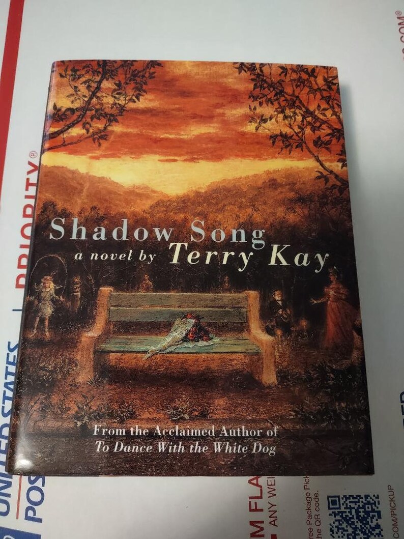 Shadow Song by Terry Kay 1994 First 1st Edition & 1st Printing - Etsy