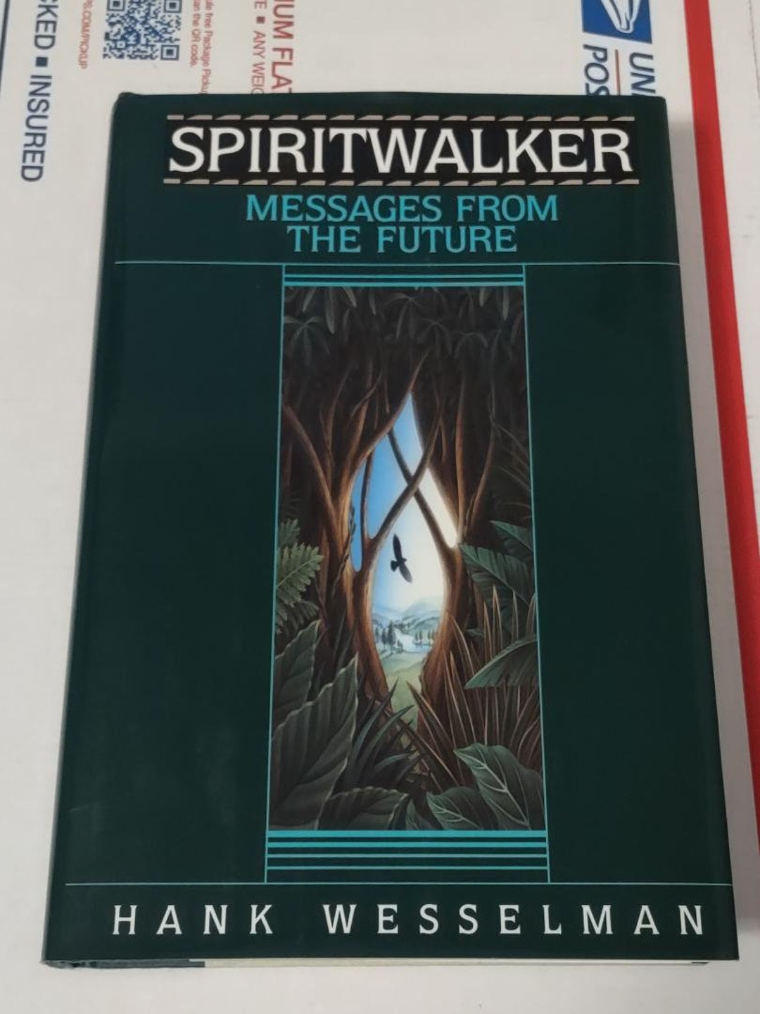 Spirit Walker : My Journeys Through the Visionary Gateway by Henry B ...