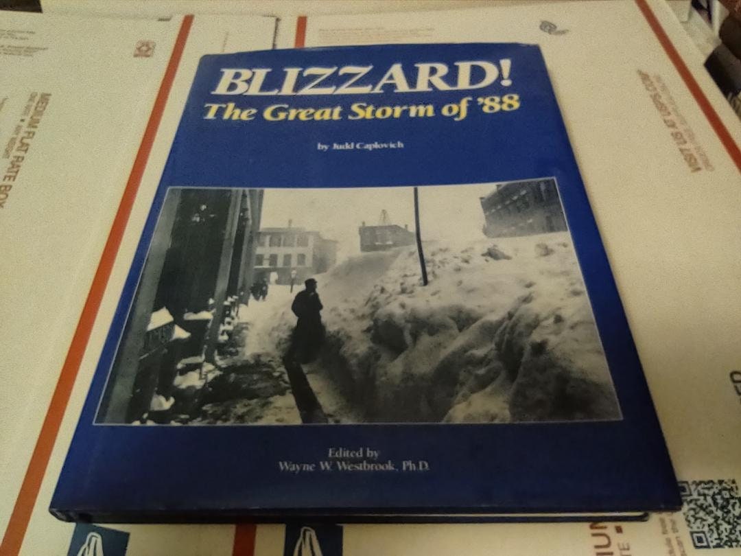 Blizzard : the Great Storm of Eighty-eight Hardcover by Judd Caplovich ...