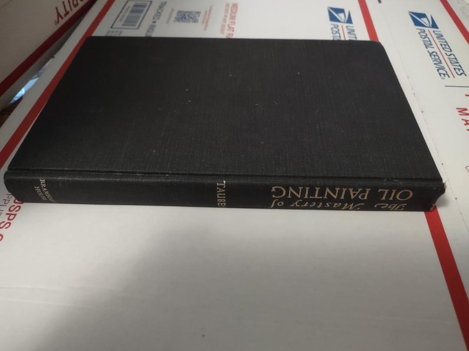 The Mastery of Oil Painting by Frederic Taubes Practical and - Etsy