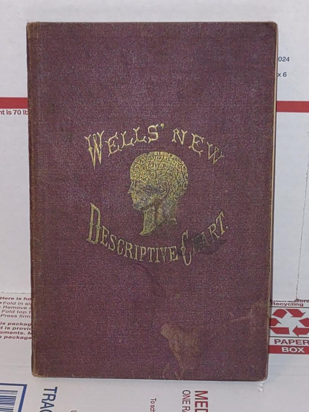 Wells'' New Descriptive Chart for Giving a Delineation of the Character ...