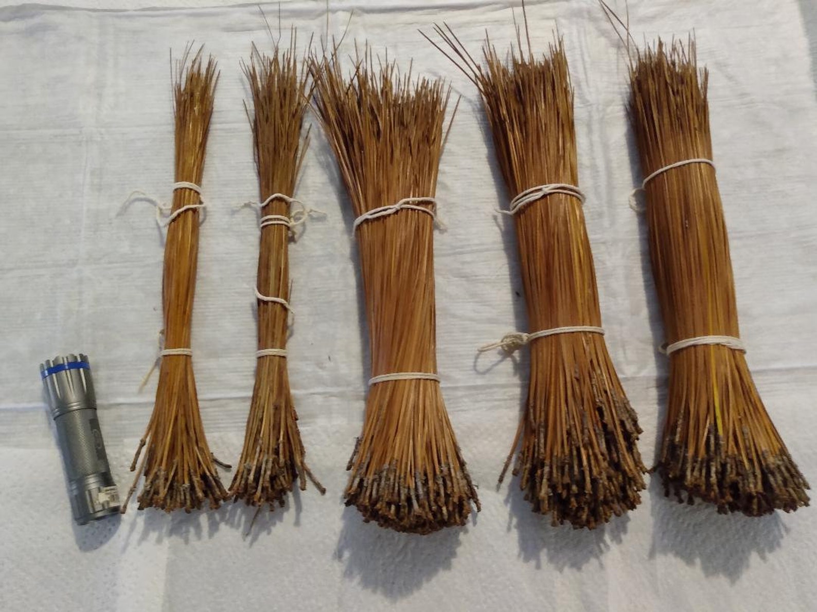 Long Leaf Pine Needles 10.5 to 19 Inches Long. 1.5 Pounds Plus - Etsy