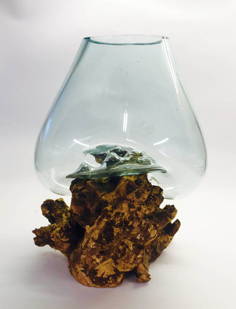 Molten Glass Bowl On Driftwood Extra Large Y Etsy