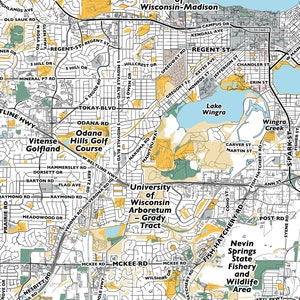 Madison Map Print, Street Names Madison Print, Printable Map of Madison ...