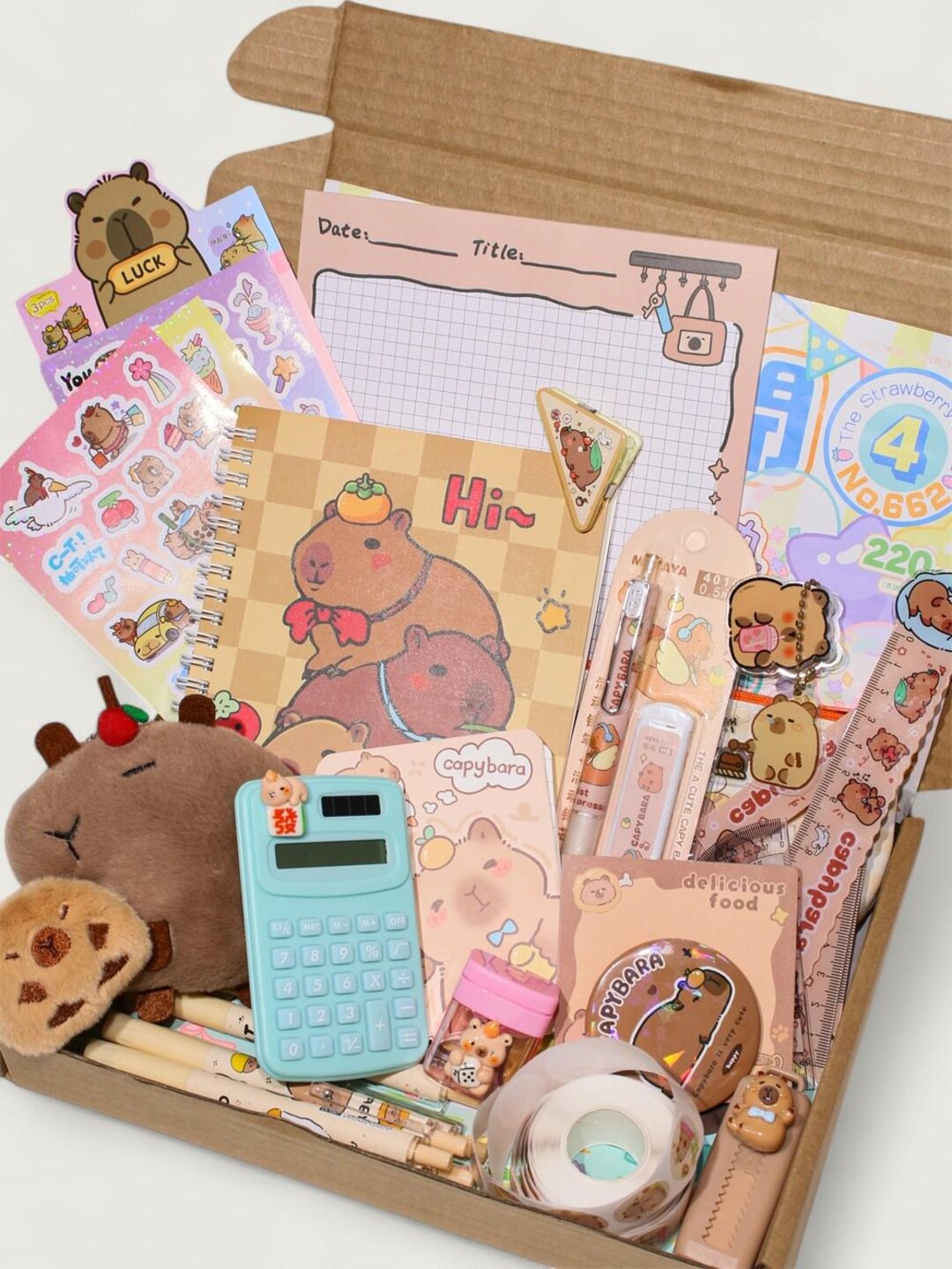 Cute & Nice Capybara Stationery Grab Bag/backpack /mystery Pattern ...