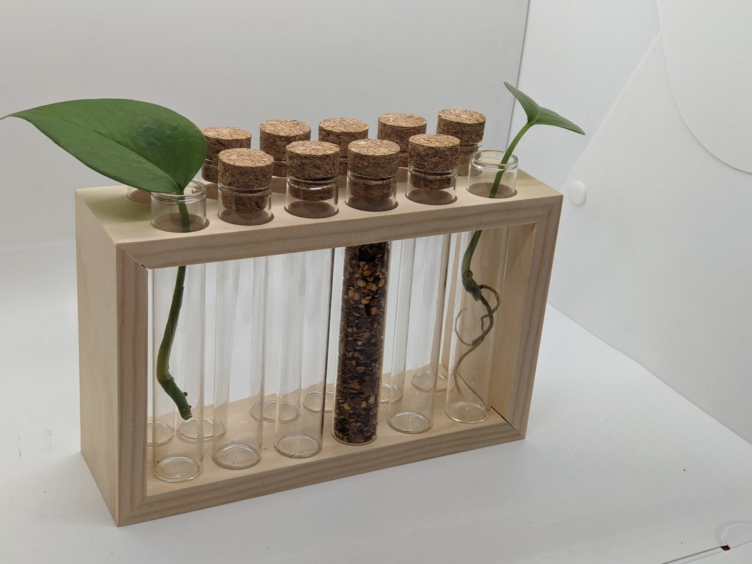 Spice Rack/propagation Station With Glass Tubes and Corks - Etsy