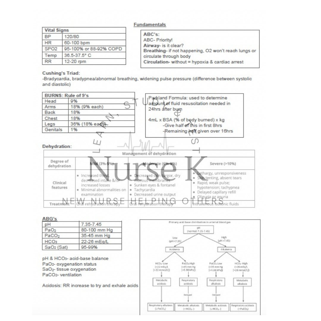 NCLEX-RN Study Guide 2021 PDF - Etsy