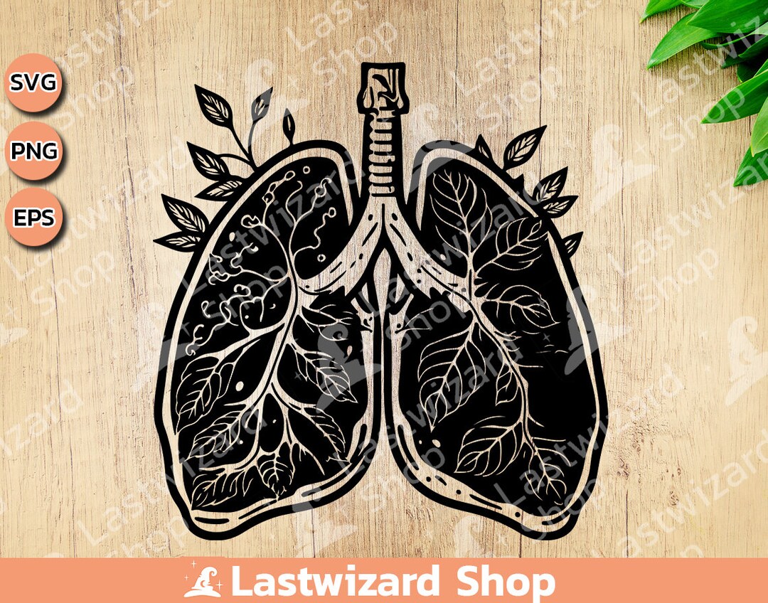 Lungs With Leaf Svg, Smoking Human Lung Svg, Human Anatomy Respiratory ...