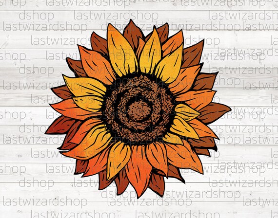 Summer Sunflower Png Fall Sunflower Png Digital Graphics | Etsy