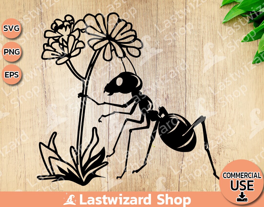 Ant With Flower SVG PNG File, Queen Ant Svg, Ant Nest Colony Svg ...