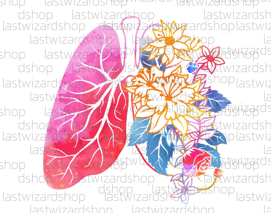 Floral Lung Anatomy PNG: Sublimation Design, Tumbler Graphic (digital ...