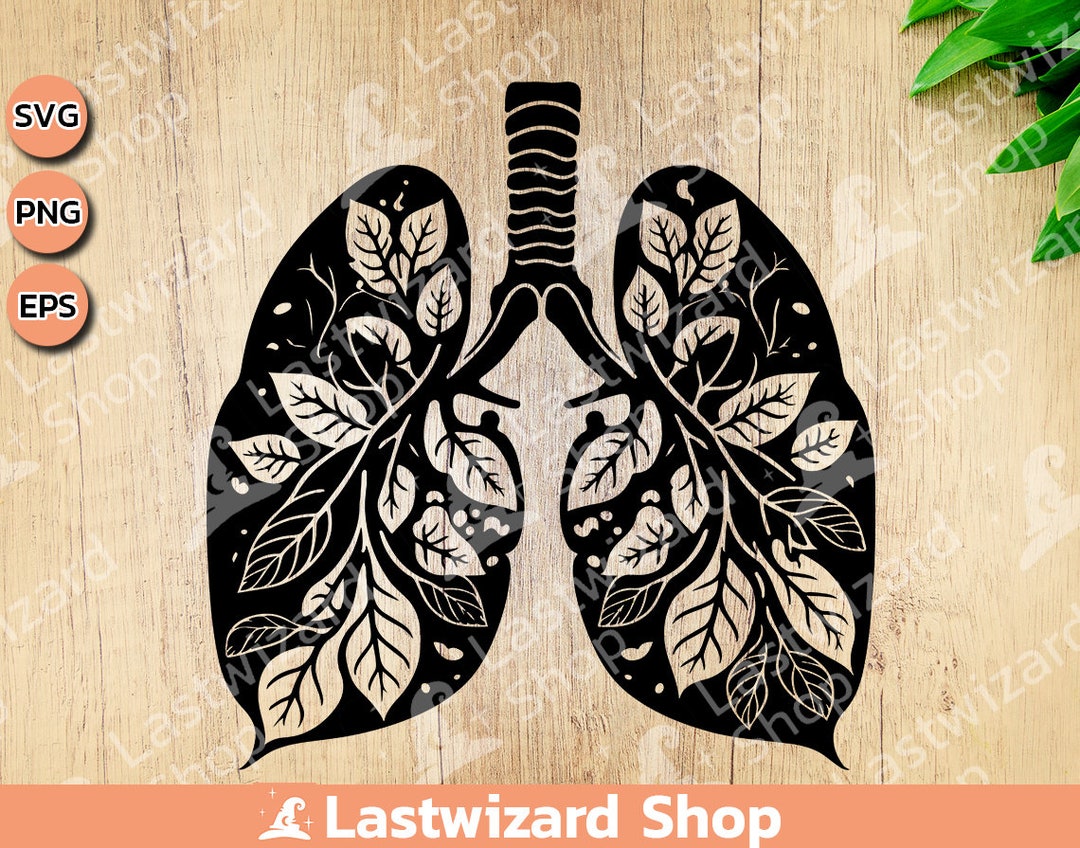 Lungs With Leaf SVG Botanical Anatomy Respiratory Health Clean Air ...