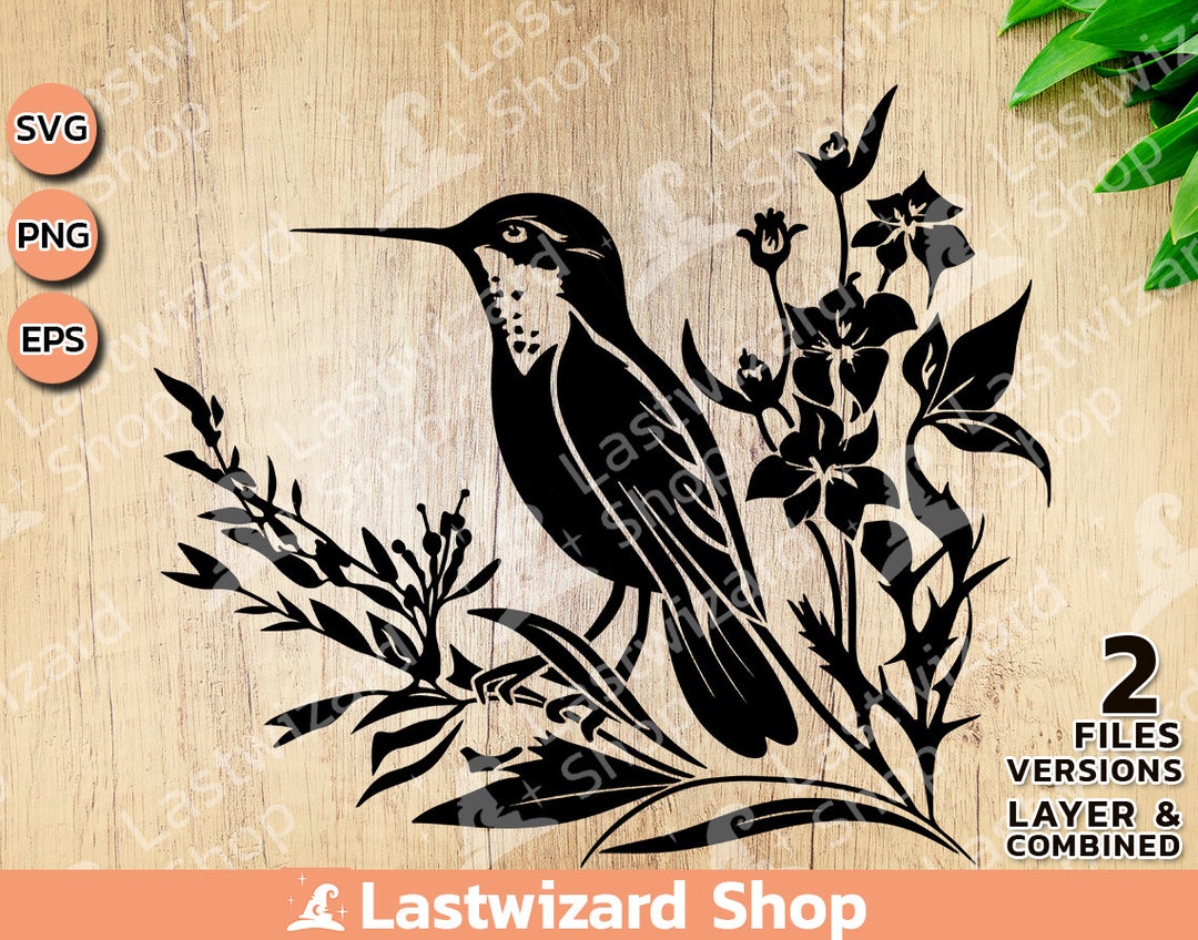 Hummingbird With Flower Svg, Wildlife Svg, Bird Watching Tiny Bird ...